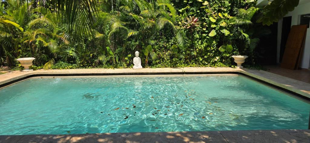 Blue Cat Merida, Mérida (updated prices 2025)