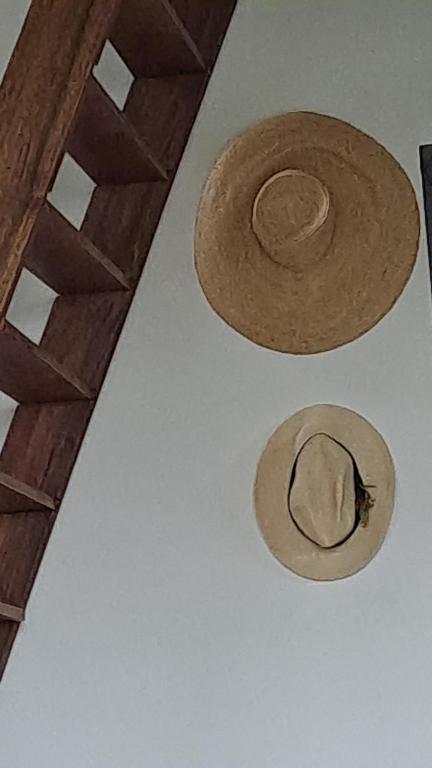 Farida Boekestijn, Jagtlust (preços atualizados para 2025)