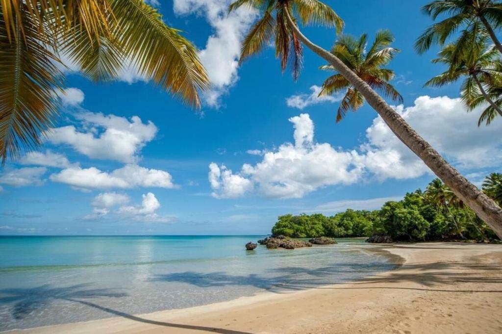 Playa Bonita 4BD Penthouse & Spa, Las Terrenas (updated prices 2026)