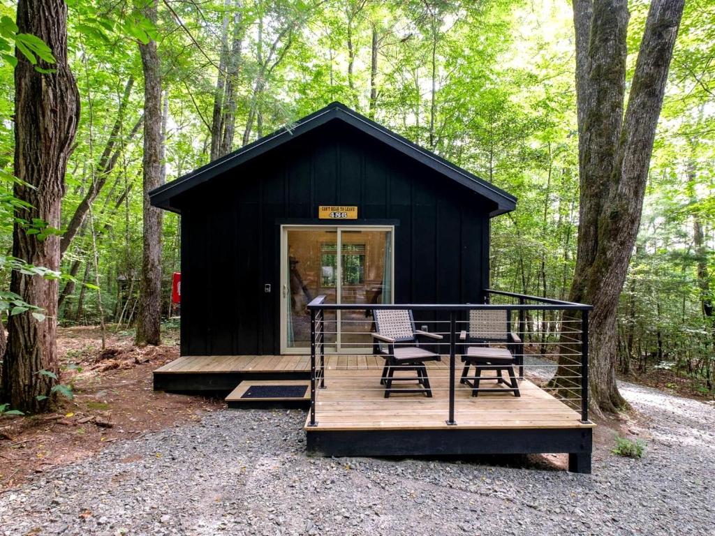 Secluded Forest Paradise: Cozy Cabin on 150 Acres in Transylvania ...