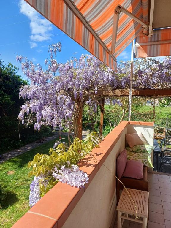 Casa dei glicini, Follonica (preços atualizados para 2025)
