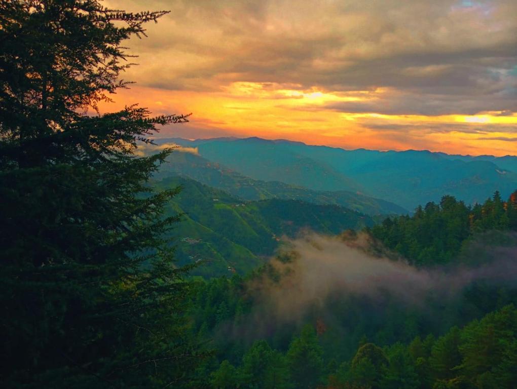 Sunrise Homestay, Cheog (updated prices 2025)