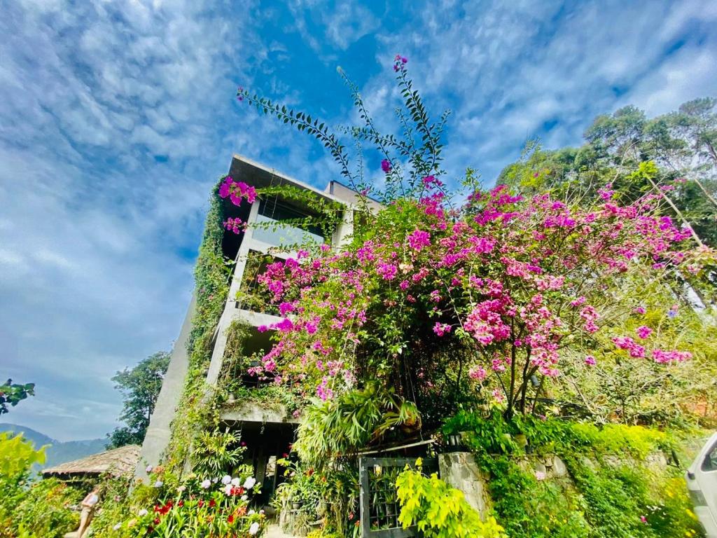 Ella Flower Garden Resort, Ella (updated prices 2025)