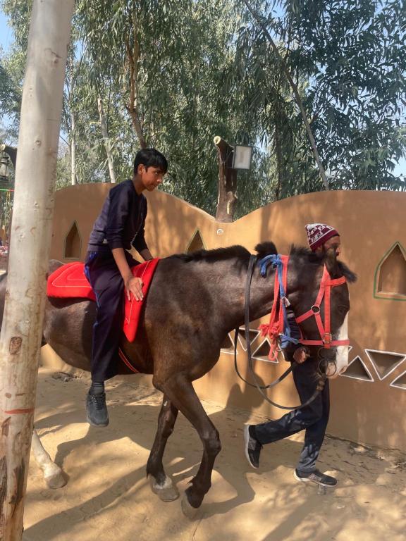 MAI DHANI by NT 3 RESORTS, Agroha (updated prices 2025)