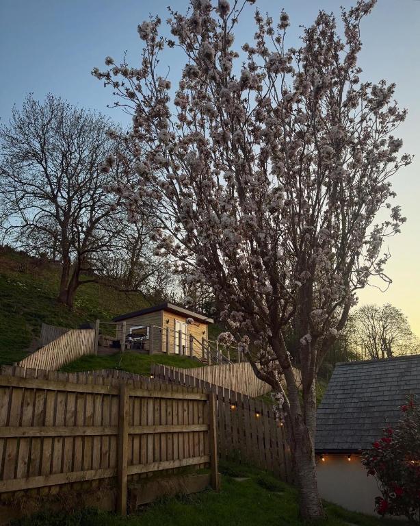 Castle View chalet, Llangollen (updated prices 2026)