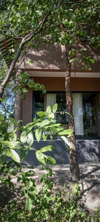 Rusty Gate Lodge and Campsite, Maun (updated prices 2025)