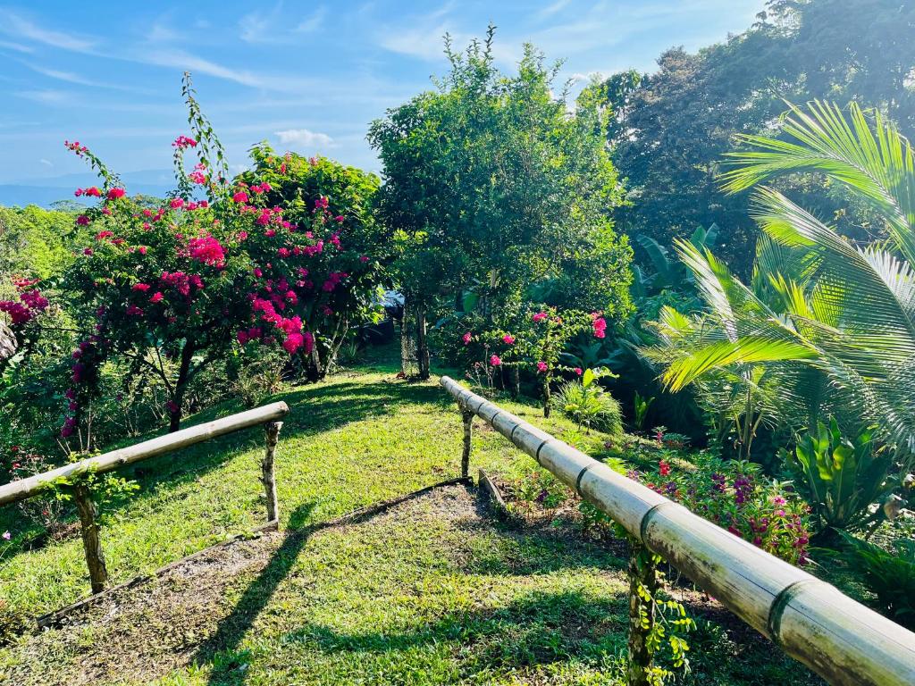 El Cerrito, Puerto Jiménez (tarifs actualisés, 2025)