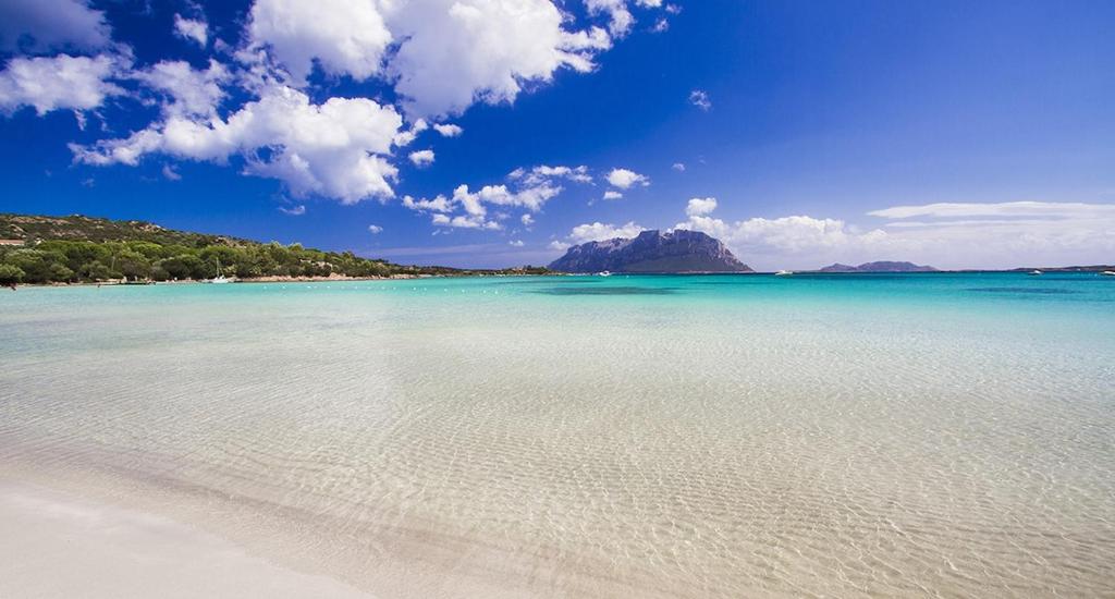 Ulivo al mare, Olbia, Murta Maria, Murta Maria (precios actualizados 2025)