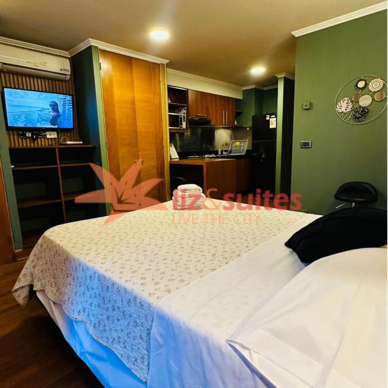 MODERNO Y ACOJEDOR HOME ESTUDIO A PASOS DEL METRO EN PRoVIDENCIA!!!, Santiago (updated prices 2025)
