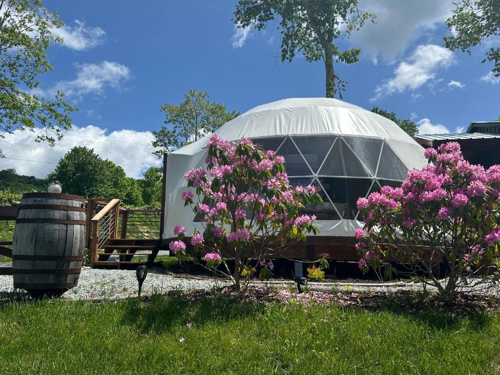 Luxury Glamping Domes,Hot Tub, Mountain views, Winery, Banner Elk ...
