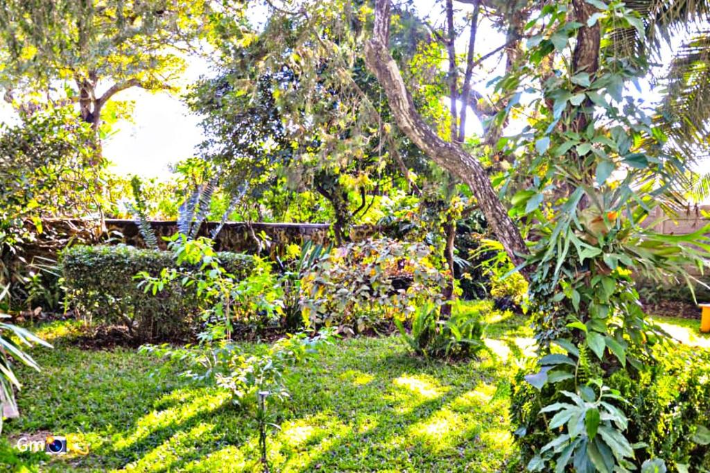 Raven Oasis, Mutare (aktualisierte Preise für 2026)