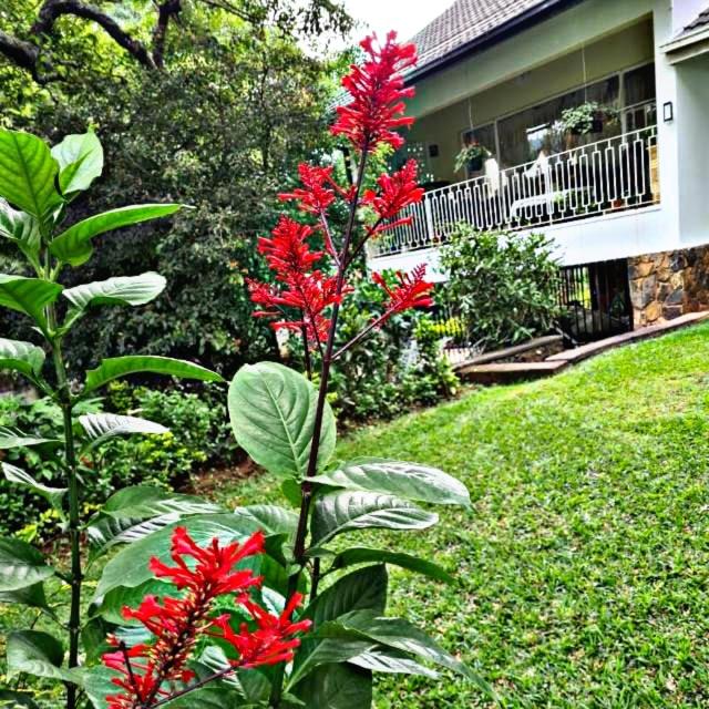 Raven Oasis, Mutare (precios actualizados 2026)