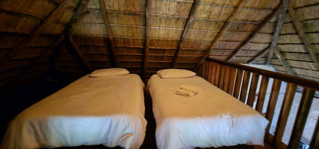 Elias Nefale Eco Estate, Mitxetweni (updated prices 2025)