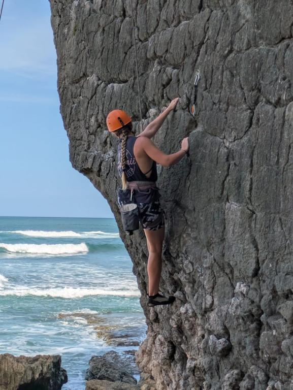 Jungle Experience in Badolina- wooden cabins and sea view, Puntarenas ...