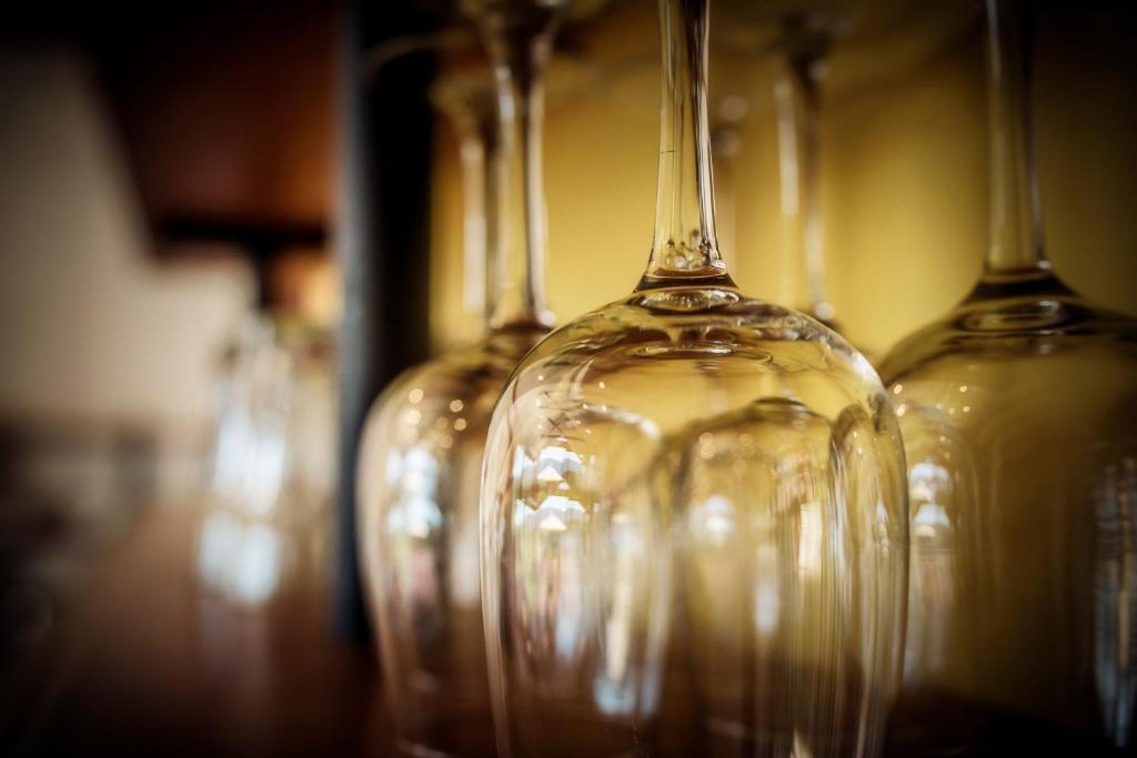 Promised Land Retreat, Bellingen (updated prices 2025)