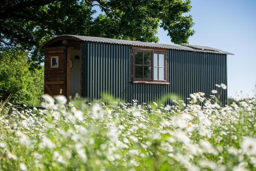 Harbour Ranch Hut - Rustic Countryside Escape, Emsworth (updated prices ...