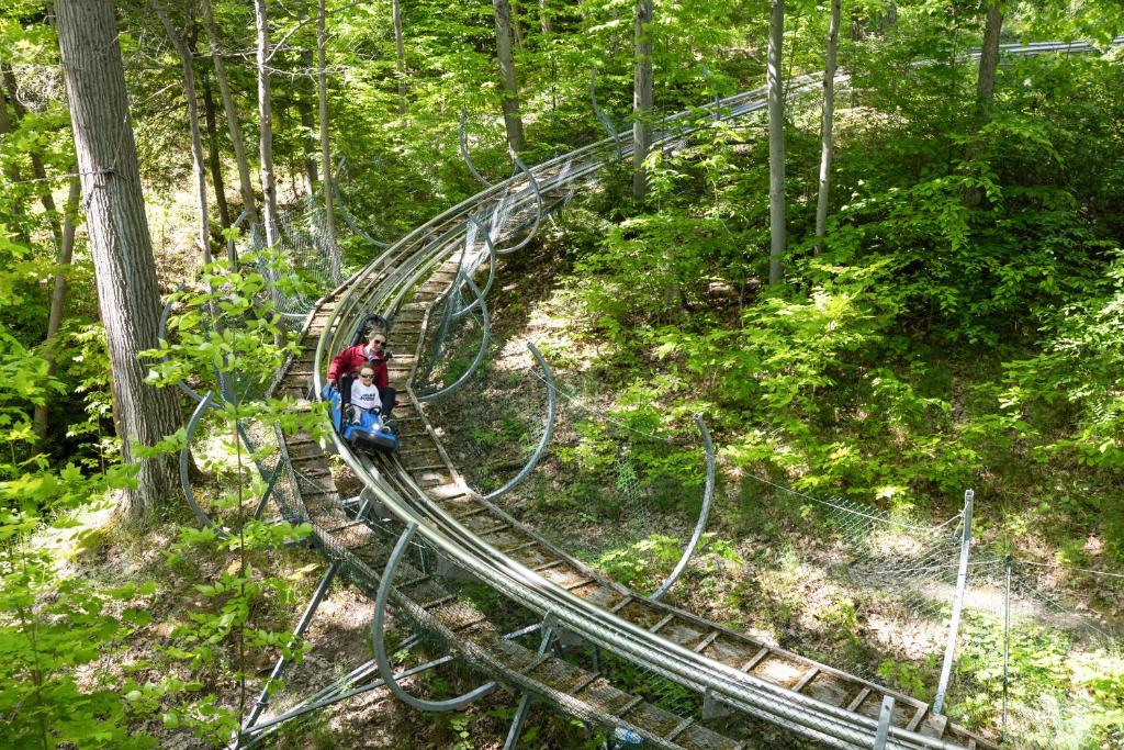 The Westin Trillium House, Blue Mountain, Blue Mountains (updated ...