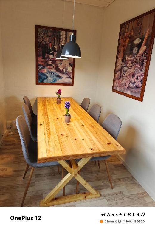 Zoo house near Billund Legoland, Grindsted (precios actualizados 2025)