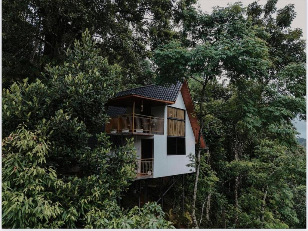 Wild Stories Resort, Munnar, Anachal (updated prices 2026)