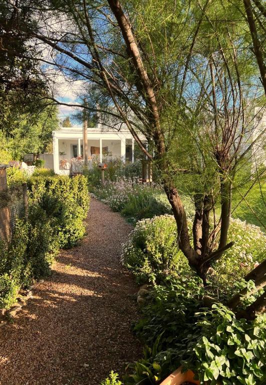 Tree House, McGregor (updated prices 2025)