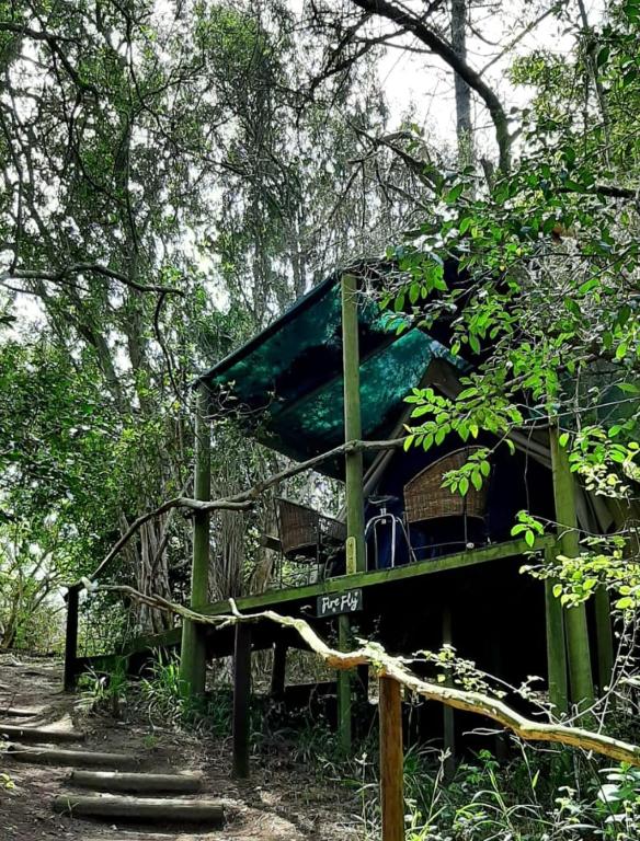 Sacred Forest Eco Tents, Knysna (updated prices 2025)