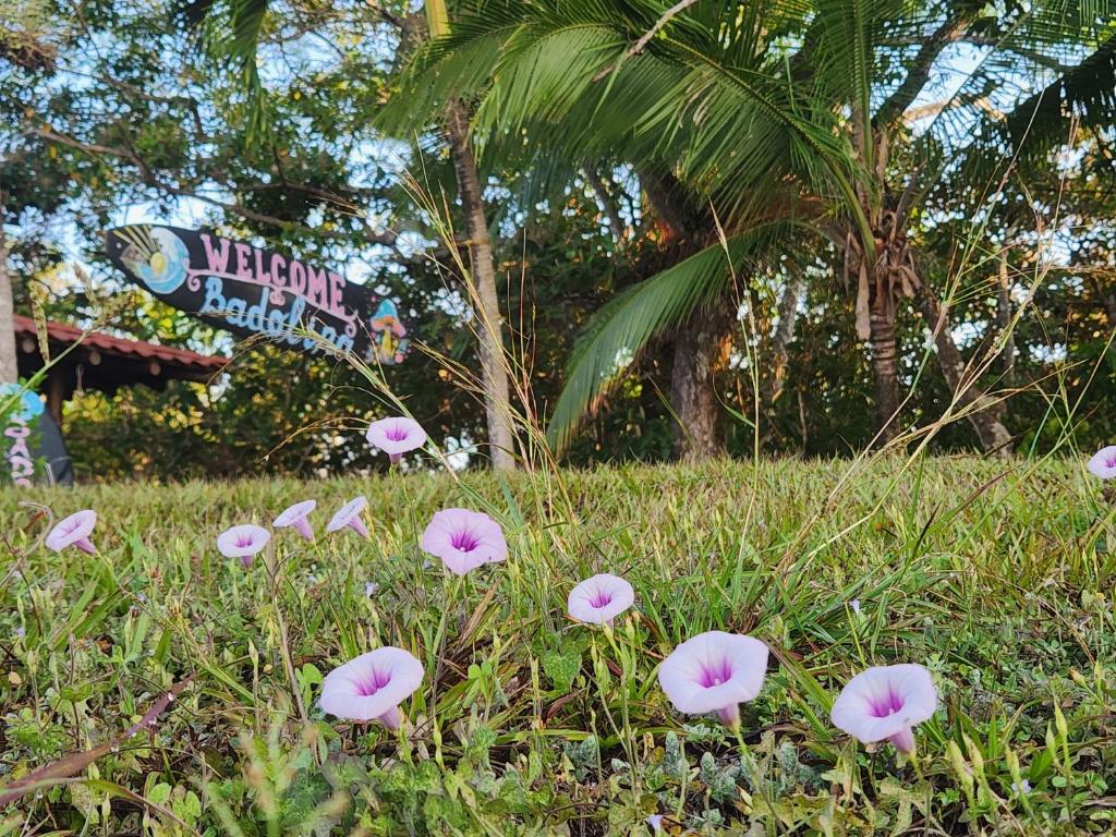 Badolina-wooden cabins & rock climbing, Montezuma (updated prices 2025)