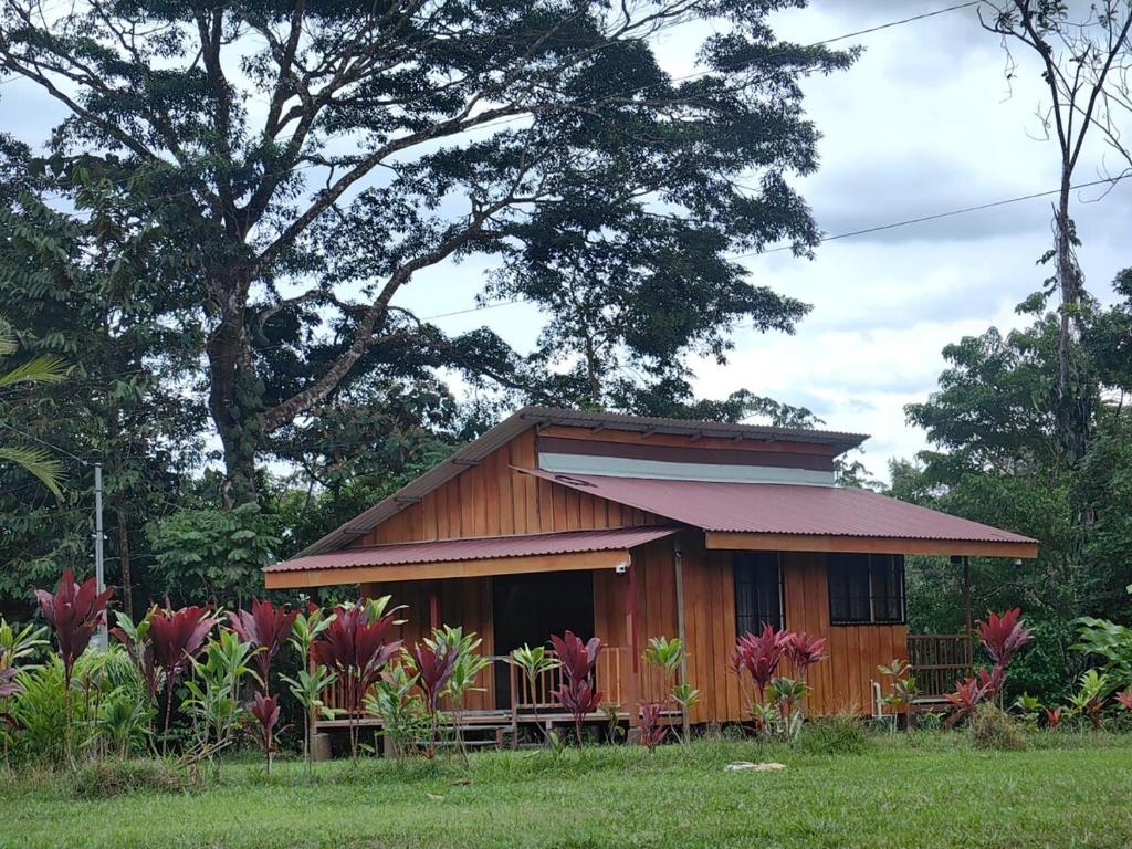 Sloth House, San Isidro (aktualisierte Preise für 2025)