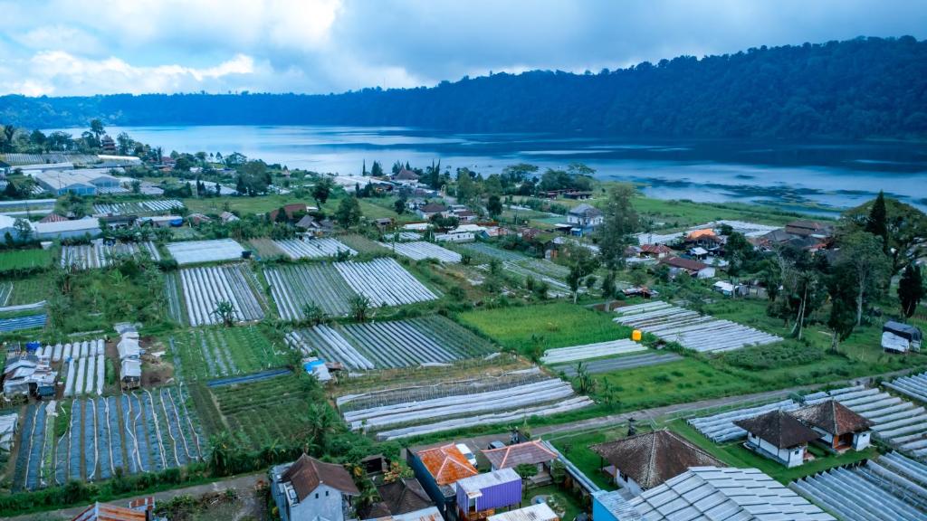 Container Smart Stay CSS, Bedugul (updated prices 2025)