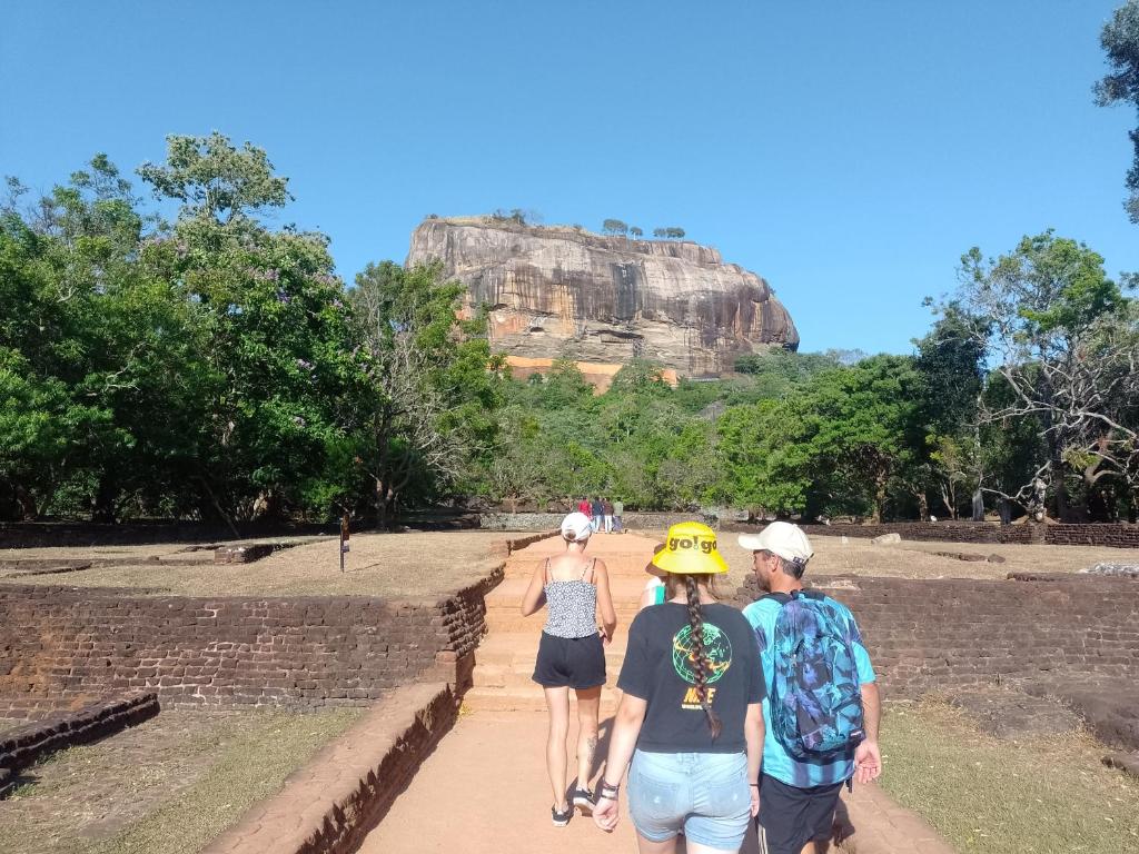 Kon Tree Shade, Dambulla (updated prices 2025)