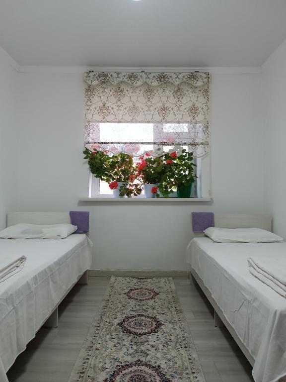 Marsad, Kazarman (updated prices 2026)