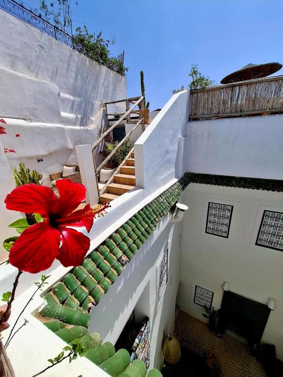 Riad Dar el Hachmia - Central private Riad, Air cond, heated pool and ...