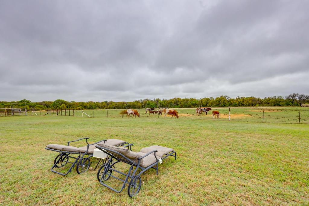 Bunkhouse on Working Texas Ranch with Horses and Cows!, Sidney (updated ...