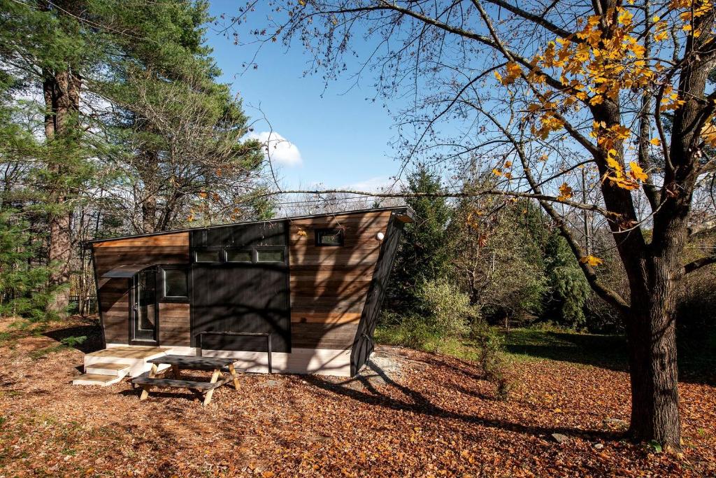 Modern Fantastic Tiny House with Lofted Interior and Picnic Space in NY ...
