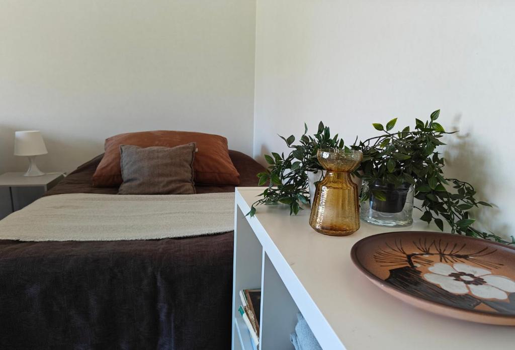 Tilava kaksio Lapinlahti keskusta, Lapinlahti (aktualisierte Preise für ...