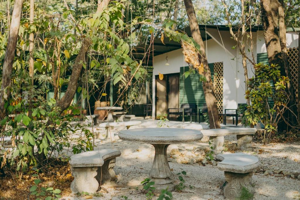 Chilamate Rainforest Beach Retreat, Nosara (updated prices 2026)