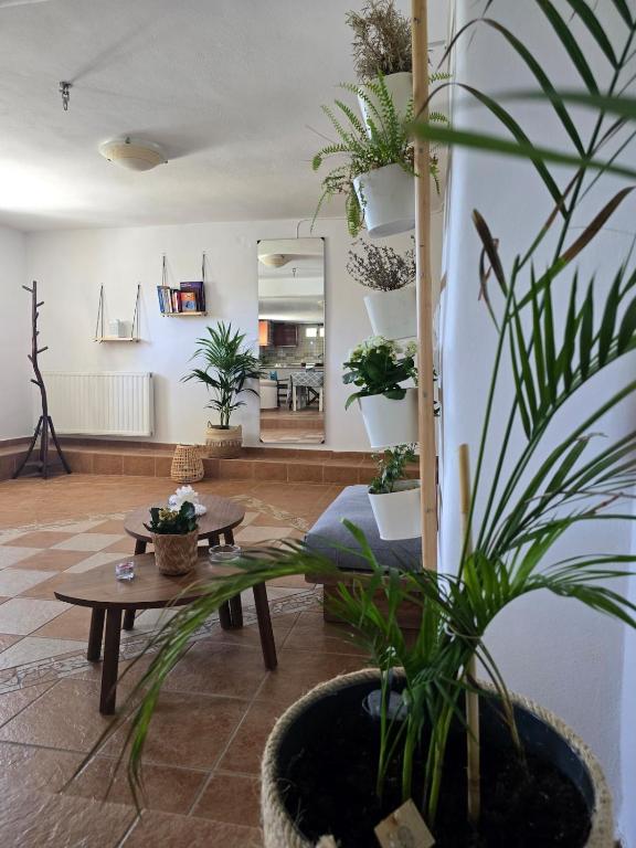 Tamarisk House-An Ideal Getaway in Southern Paros, Márpissa (ažurirane ...