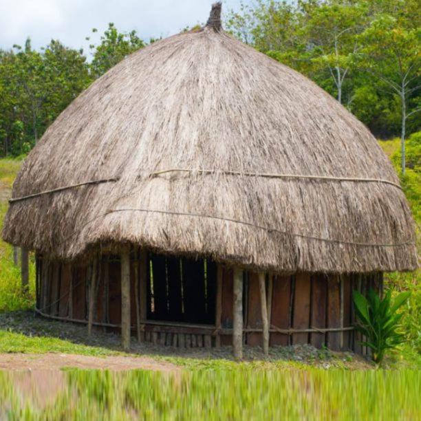Rumsram homestay rumah etnik papua, Klamono (updated prices 2025)