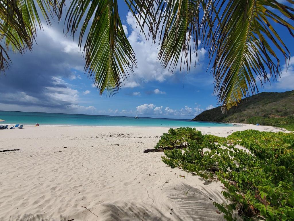 Secret Garden Culebra, Culebra (updated prices 2026)