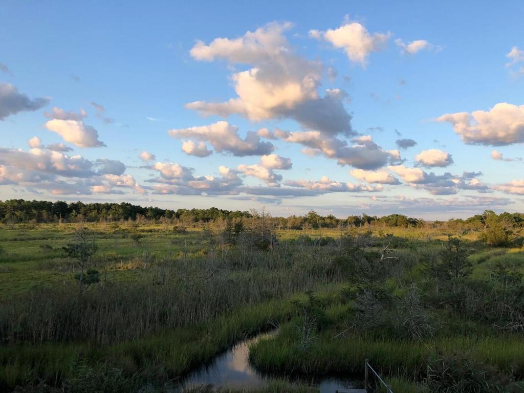 Farview road 36, Rehoboth Beach (updated prices 2025)