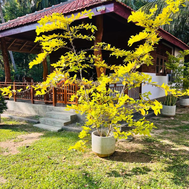 Hanguk Lanka Lagoon Villa, Tangalle (updated prices 2025)