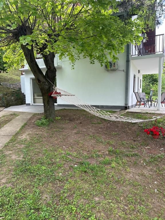 Tresnjin cvet, Ripanj (precios actualizados 2025)