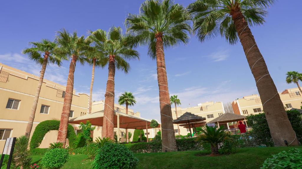 Boudl Al Malaz, Riyadh (updated prices 2025)