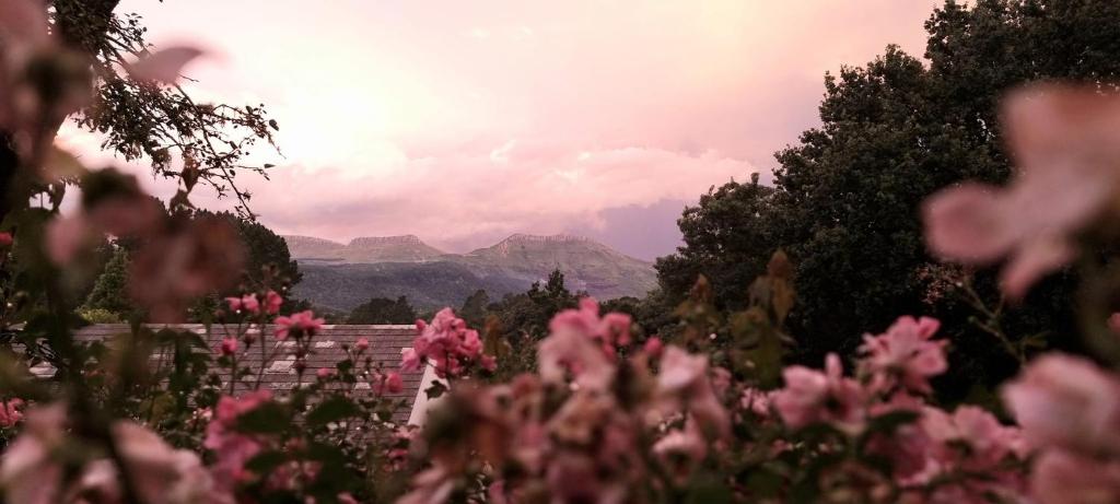 Never Daunted, Hogsback (updated prices 2025)