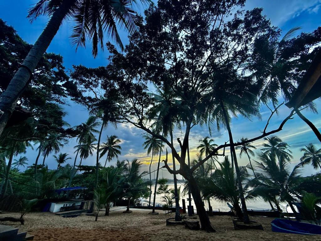 Kudah Bay Surf Camp, Arugam Bay (updated prices 2025)
