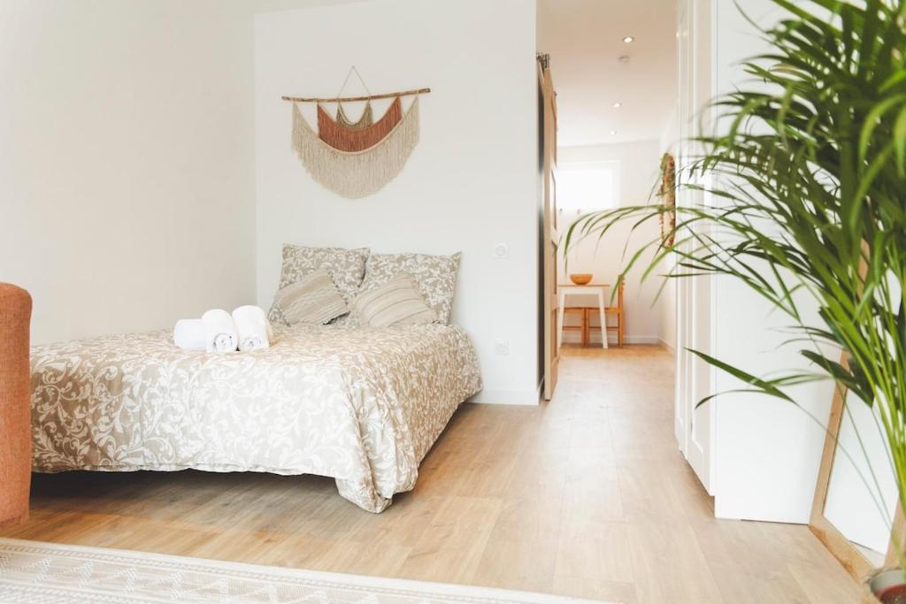 Le Nomada - Magnifique Studio Neuf!, Tarbes (updated prices 2025)