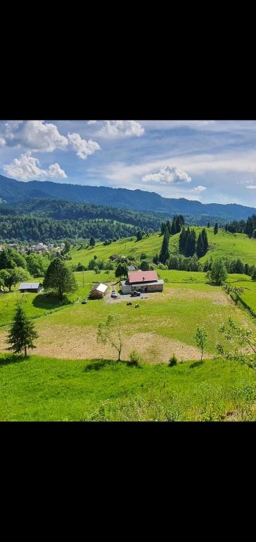 Vila Muntelui Colibita, Colibiţa (updated prices 2026)