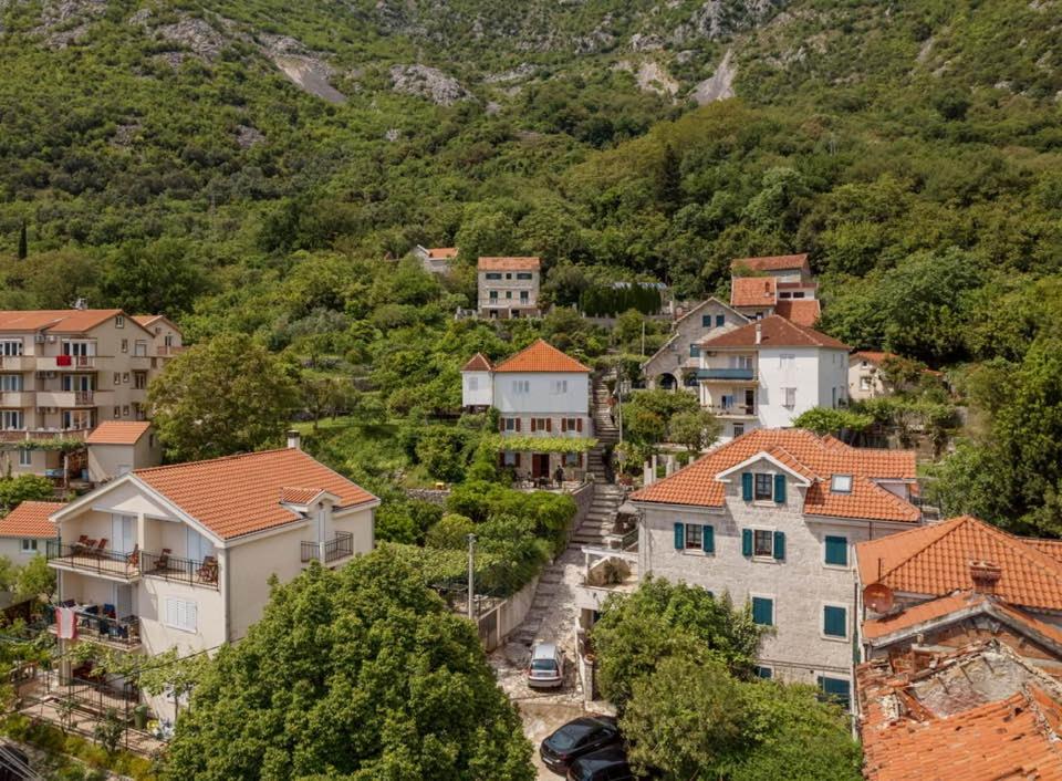 Branka R, Strp (updated prices 2025)