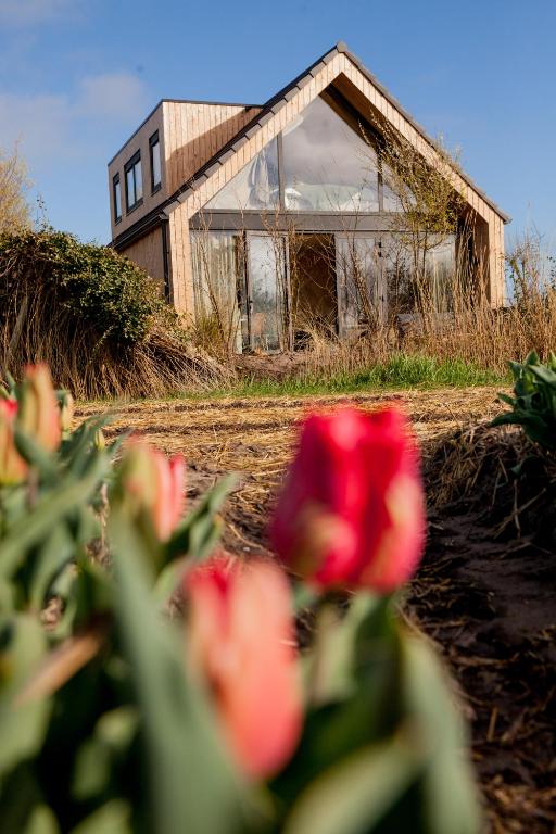 Ecohome Storm 8personen en baby Zeezand Recreatie, 't Zand (updated ...