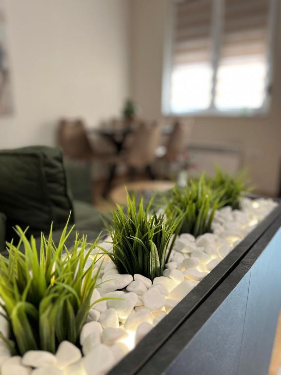 Apartman LuJ Zlatibor, Zlatibor (updated prices 2026)