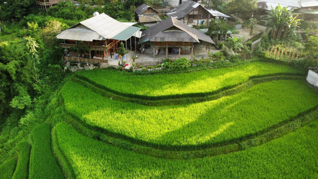 Merly House، سابا (أسعار محدثة لعام 2025)